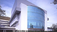 Design | Toyota Brand | Mobility | Toyota Motor Corporation Official ...